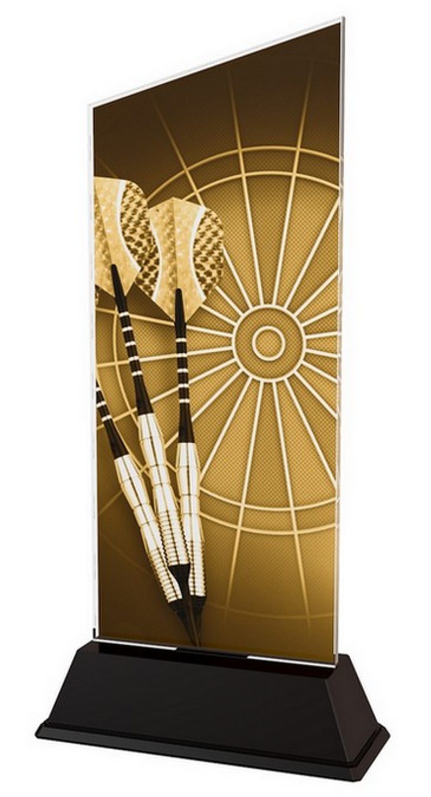 Danbury Eletronic Darts Acrylic Trophy | Trophy Monster ⭐ USA