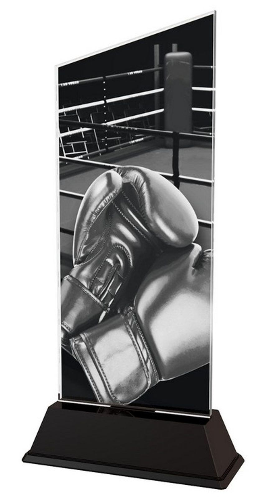 Danbury Boxing Acrylic Trophy | Trophy Monster ⭐ USA