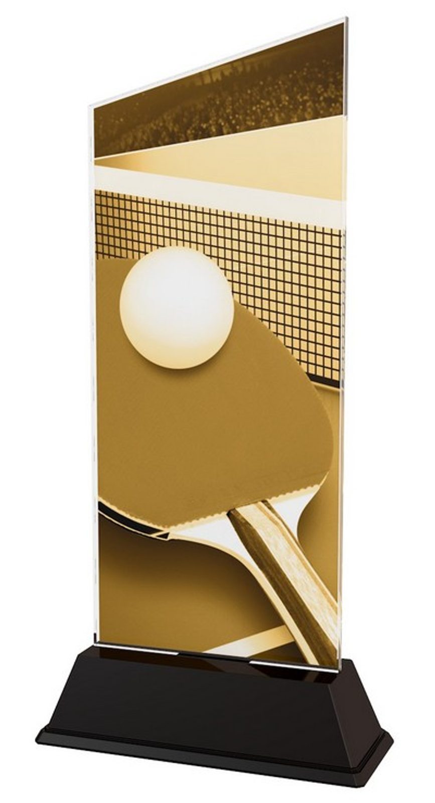 Danbury Table tennis Acrylic Trophy | Trophy Monster ⭐ USA