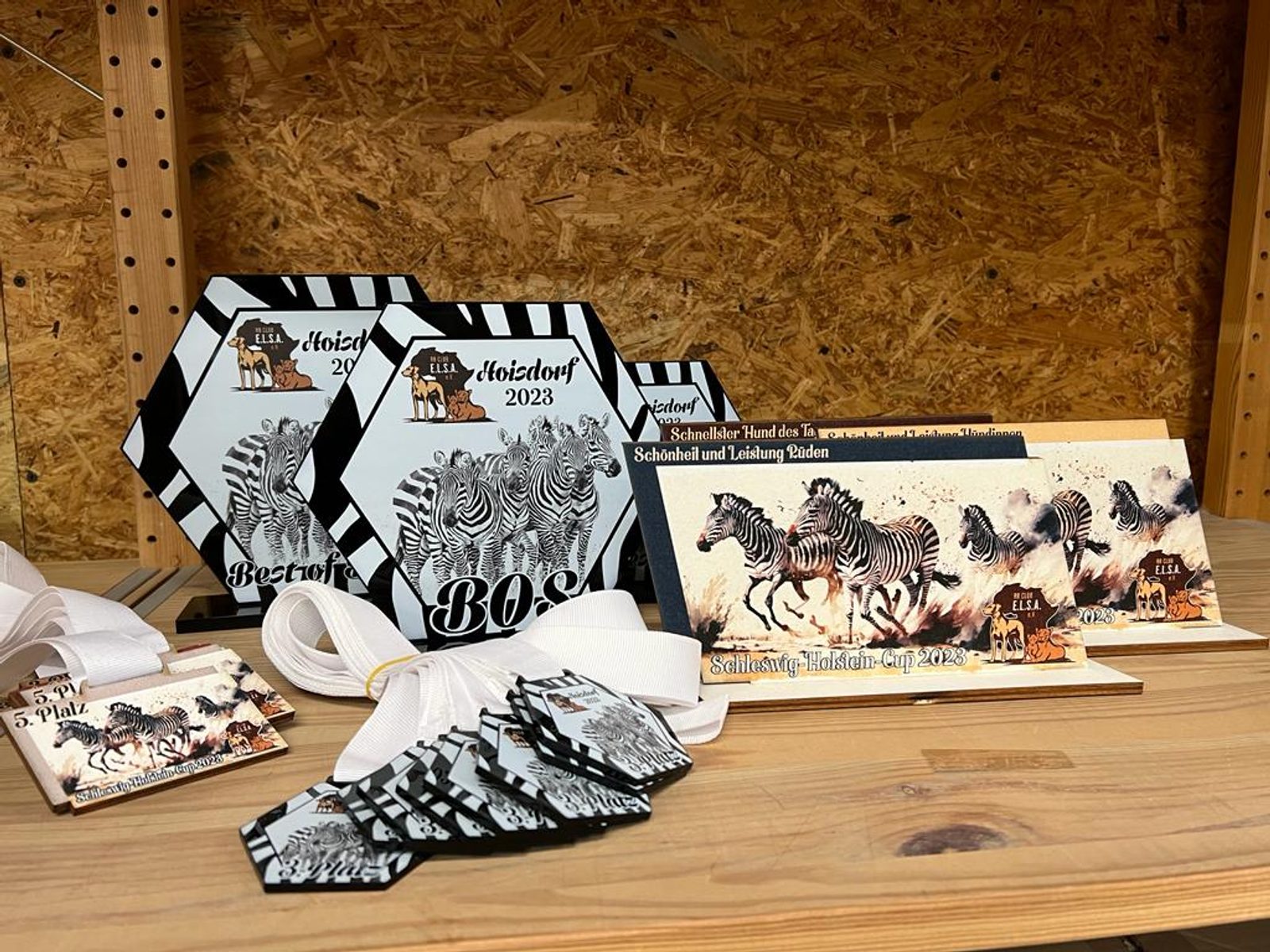 Hex Custom Made Acrylic Award | Trophy Monster ⭐ USA