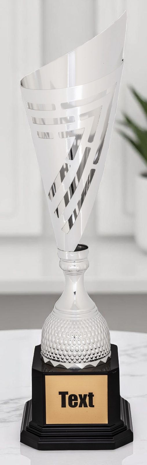 Zonte Laser Cup | Trophy Monster ⭐ USA
