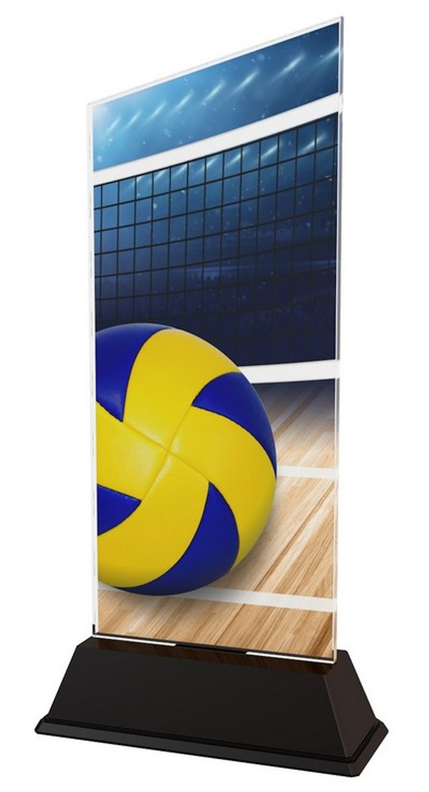 Danbury Volleyball Acrylic Trophy | Trophy Monster ⭐ USA