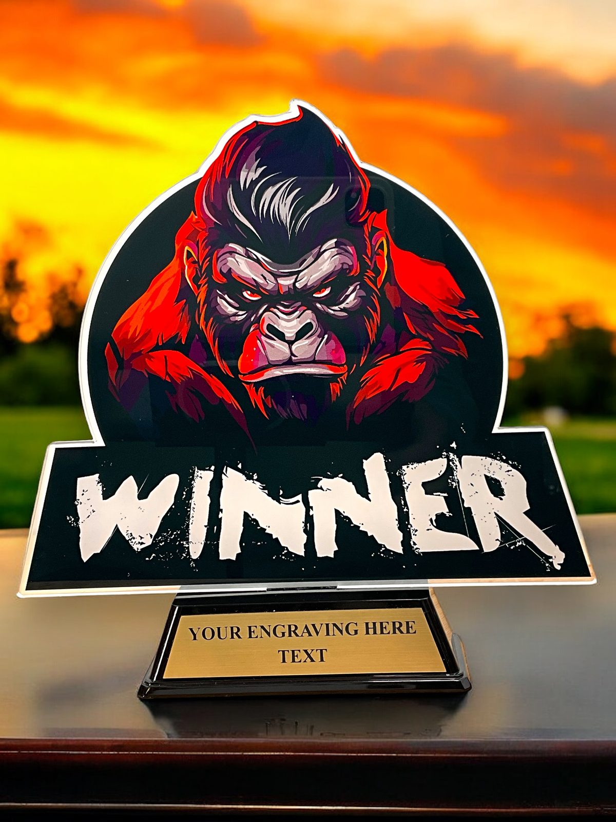 Edison Vehicle Custom Made Acrylic Award | Trophy Monster ⭐ USA