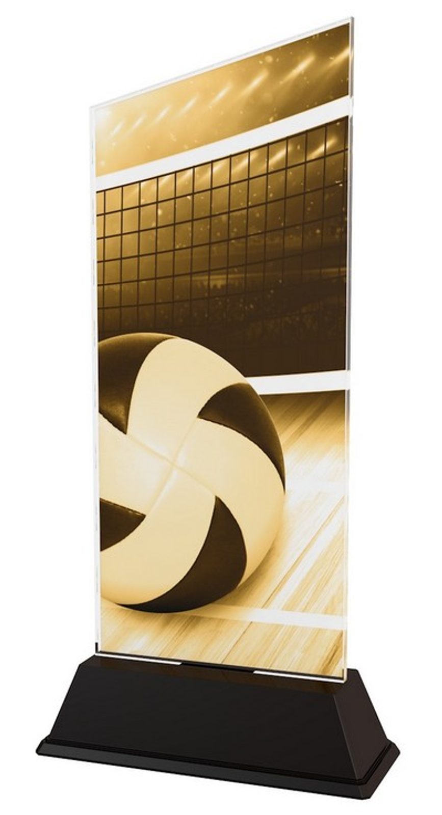 Danbury Volleyball Acrylic Trophy | Trophy Monster ⭐ USA