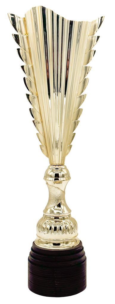 Chester Boxing Gold Trophy | Trophy Monster