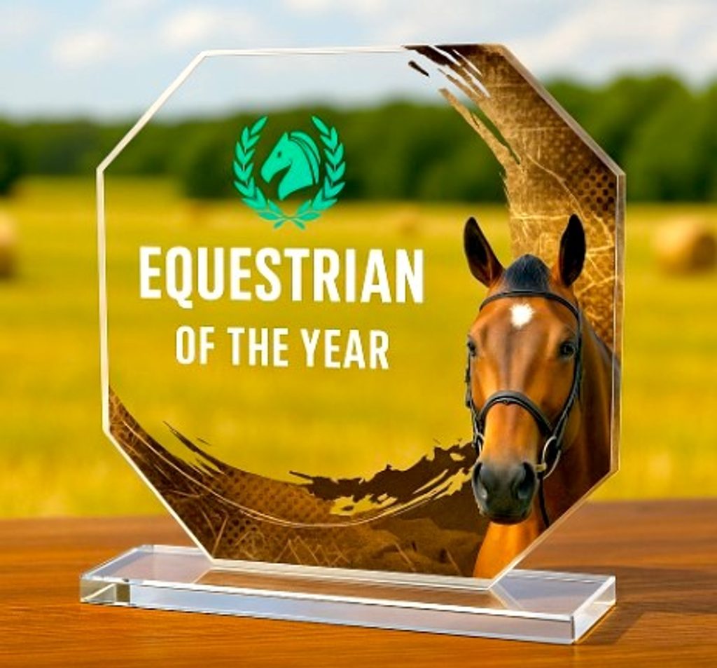 Hutton Horse Riding Glass Award | Trophy Monster