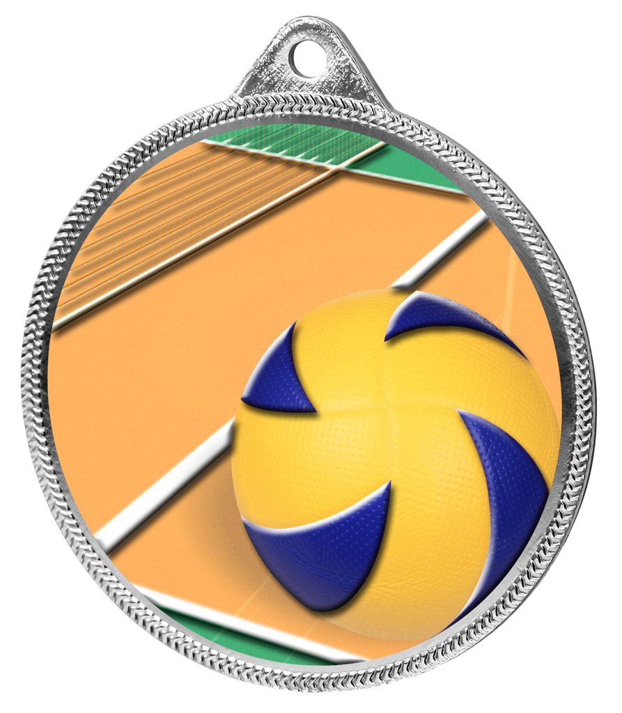 Volleyball Colour Texture 3D Print Silver Medal | Trophy Monster