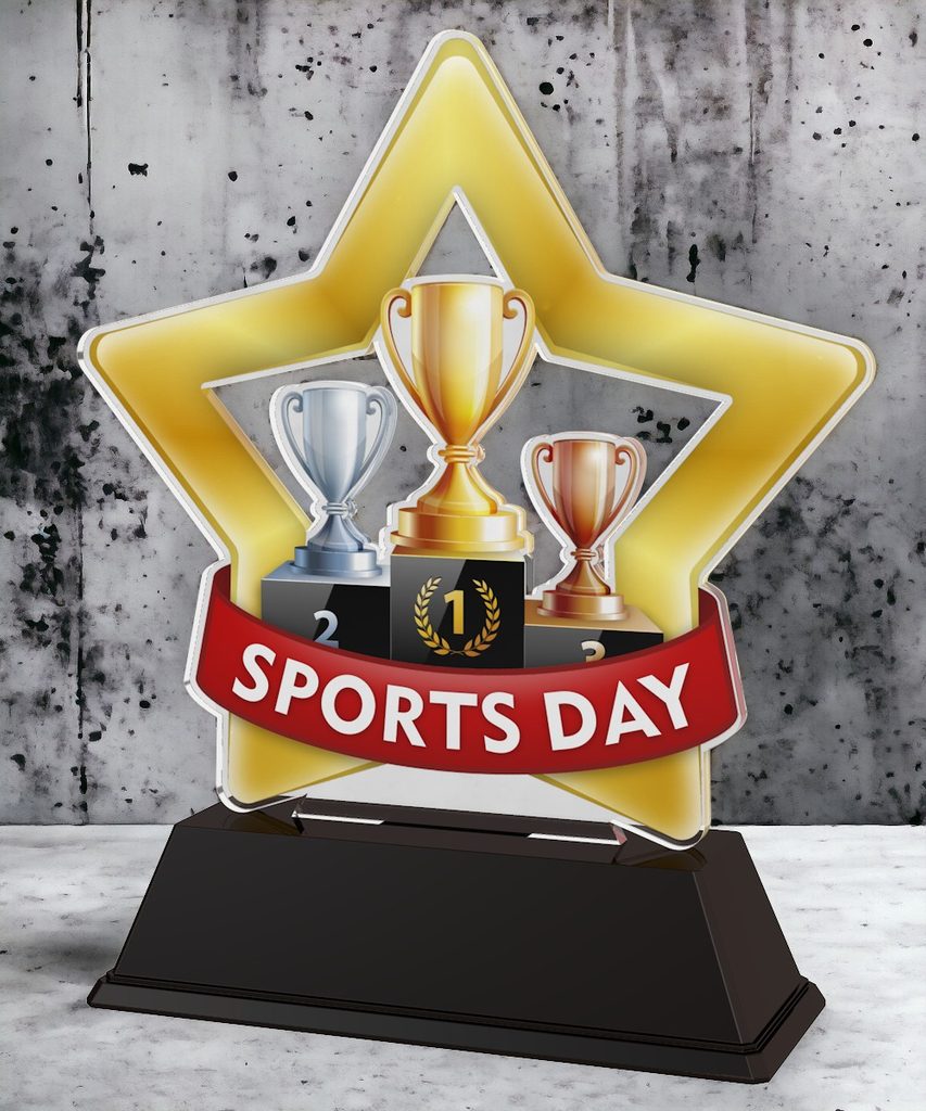 Mini Star Sports Day Trophy | Trophy Monster