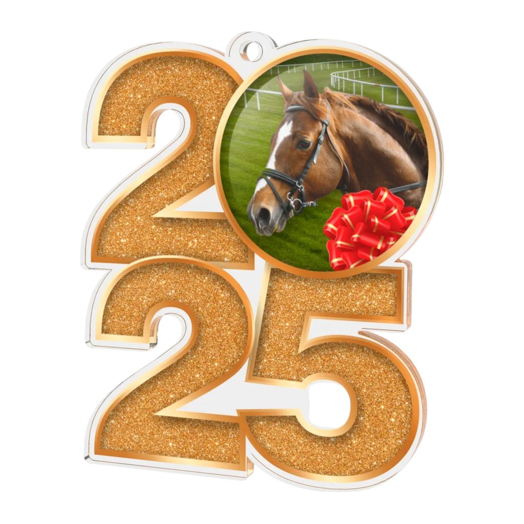 Equestrian Horse Riding 2025 Medal | Trophy Monster