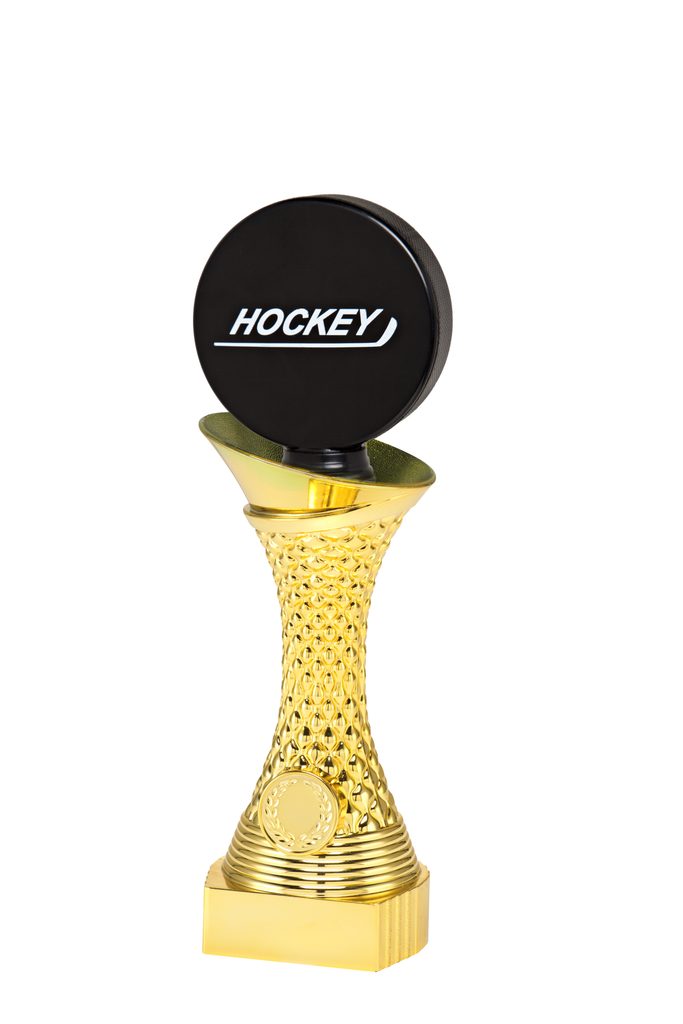 Gretzky 3D Heavyweight Ice Hockey Puck Trophy | Trophy Monster