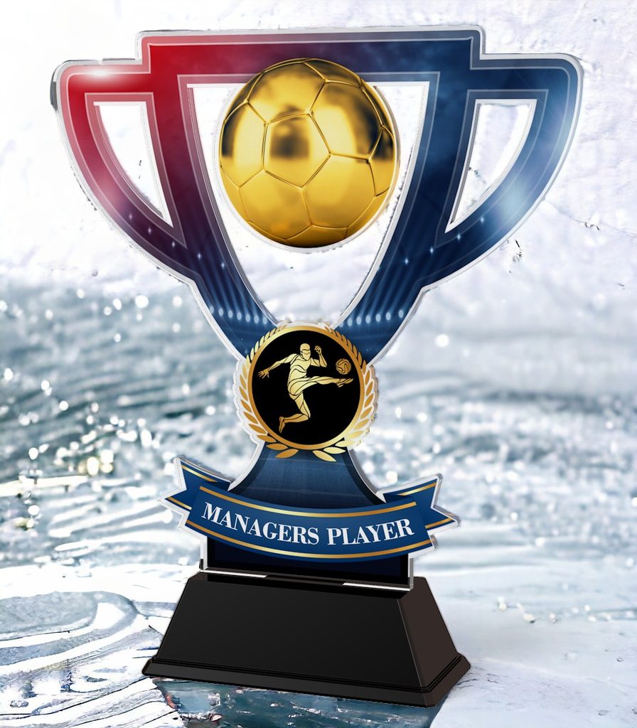 Stadium Managers Player Football Cup Trophy | Trophy Monster