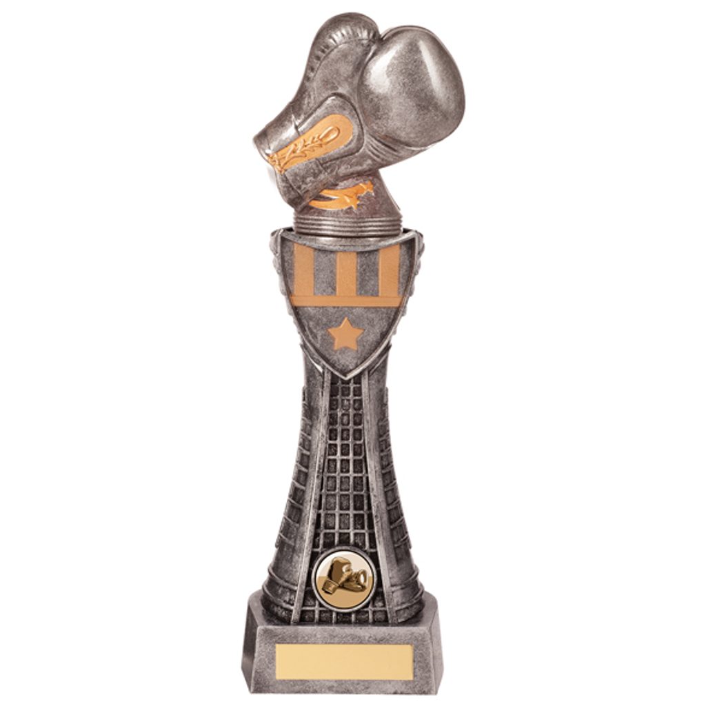 Valiant Boxing Trophy | Trophy Monster