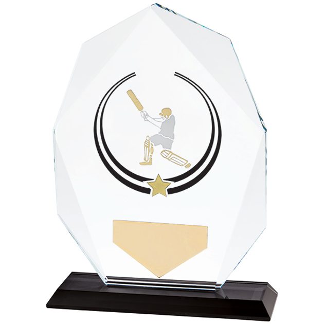 Glacier Hand Painted Glass Cricket Trophy | Trophy Monster