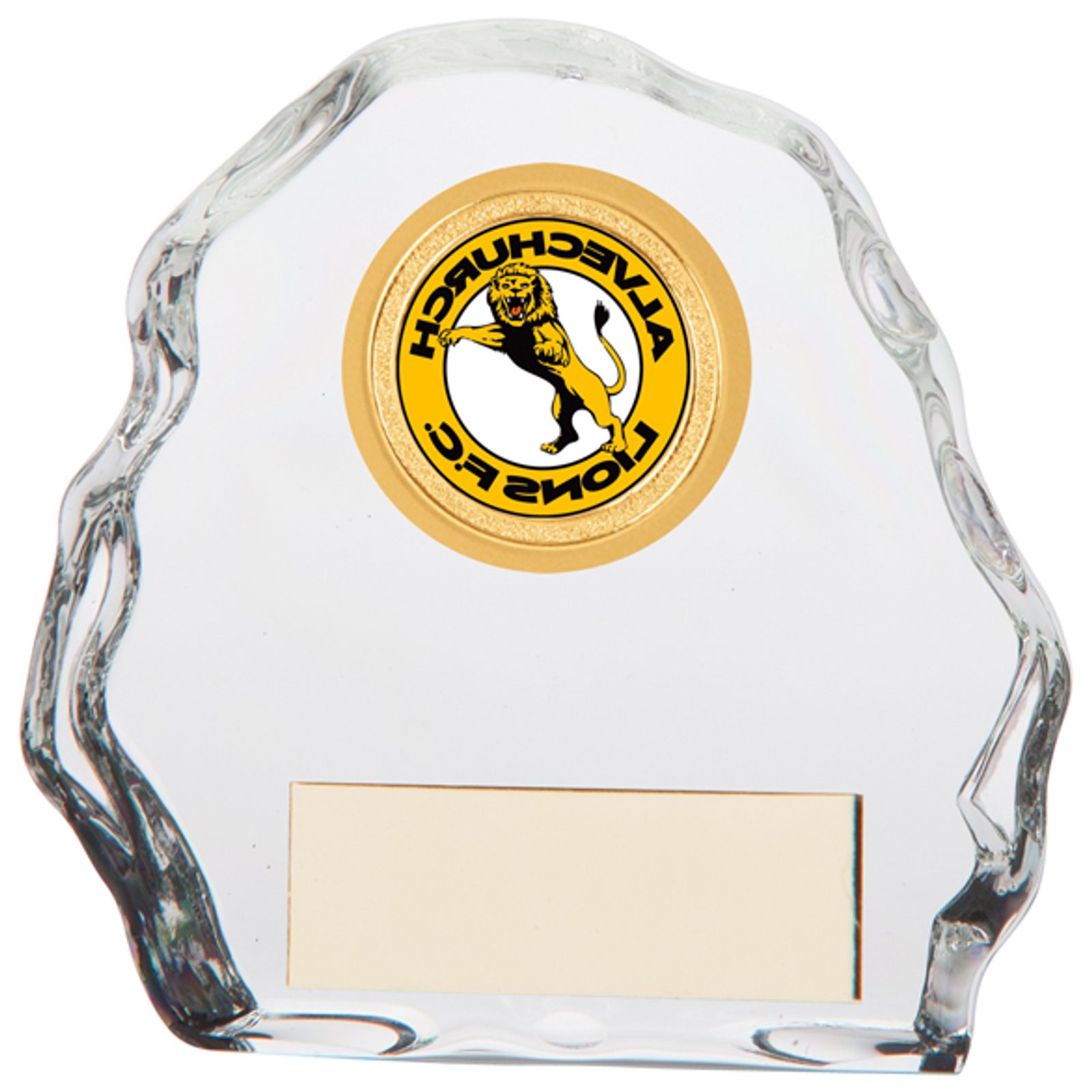 Sub Zero Glass Logo Insert Trophy | Trophy Monster