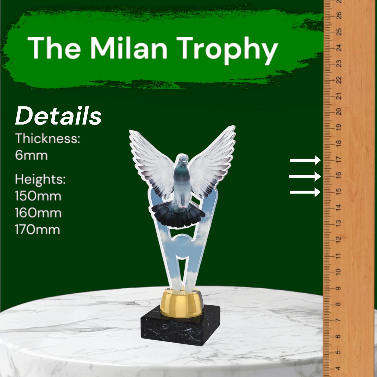 Milan Pigeon Trophy | Trophy Monster