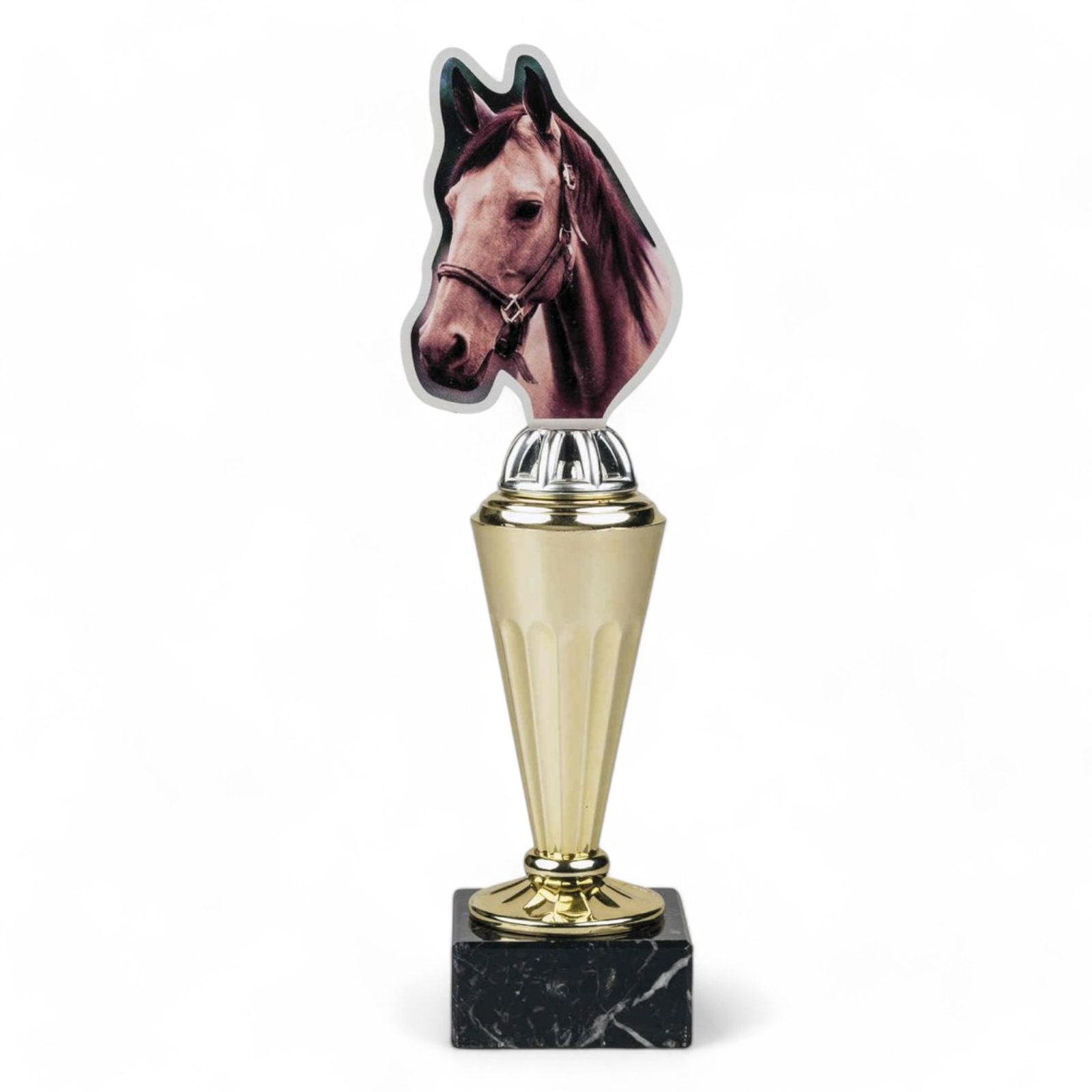 Capri Equestrian Horse Riding Trophy | Trophy Monster