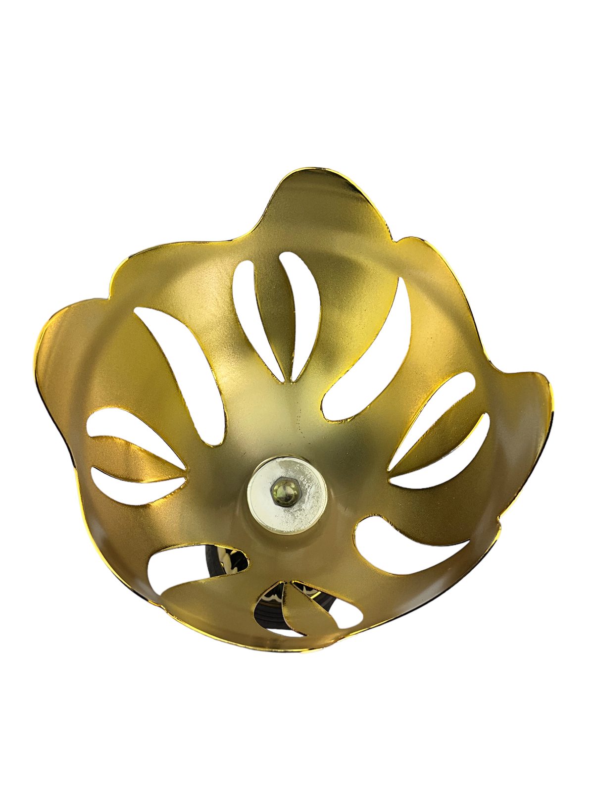 Raton Gold Cup | Trophy Monster