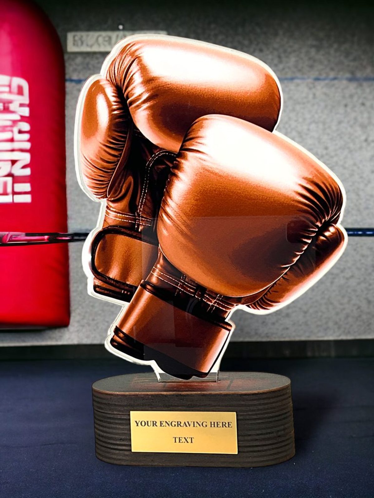 Altus Classic Boxing Trophy | Trophy Monster