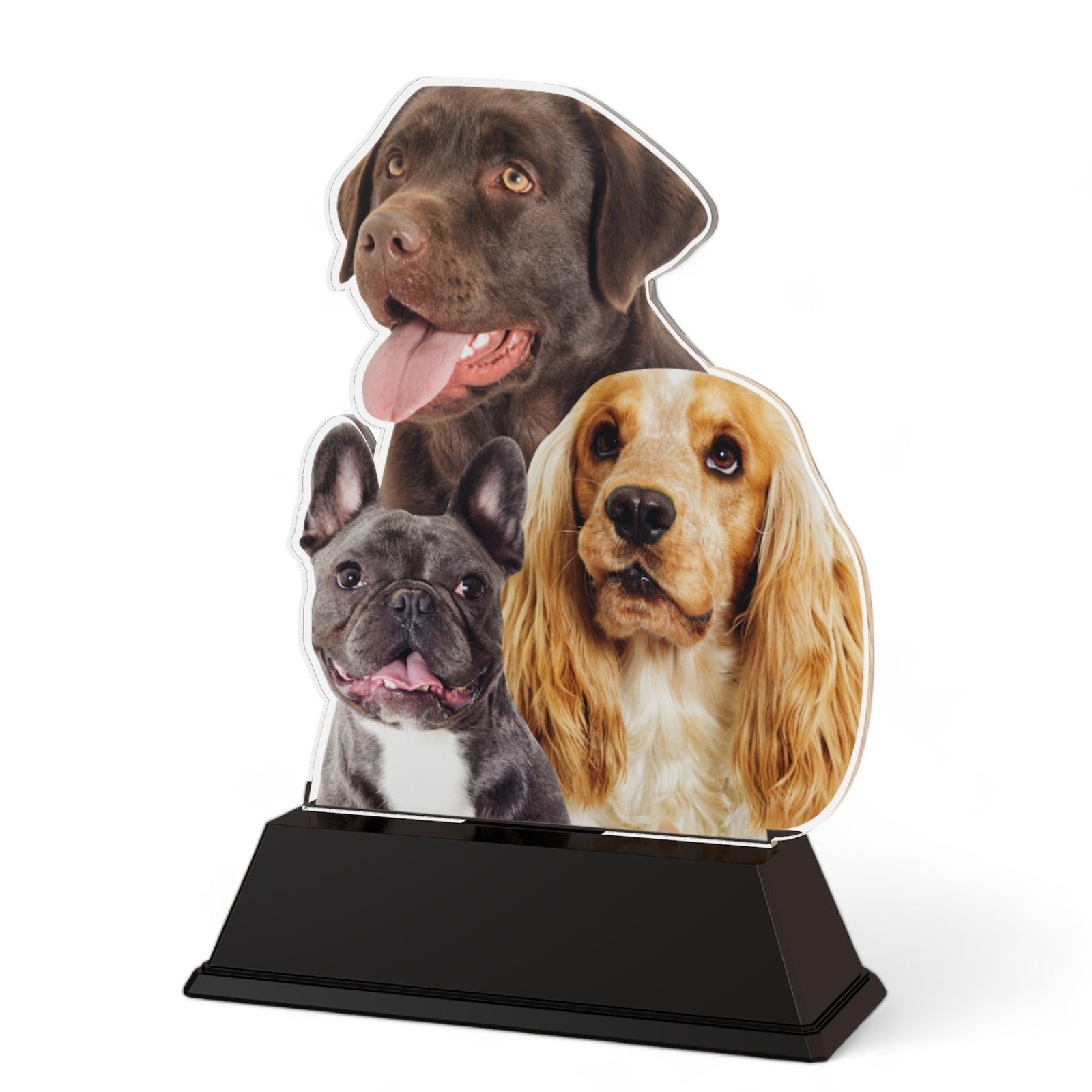 Ostrava Dog Multi Breed Trophy | Trophy Monster