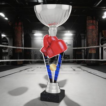 Napoli Boxing Silver Trophy Cup | Trophy Monster