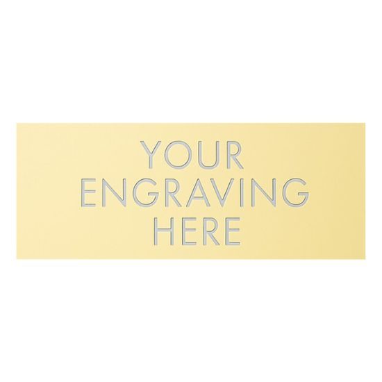 Gold Extra Large Engraved Plate - 100mm x 50mm | Trophy Monster