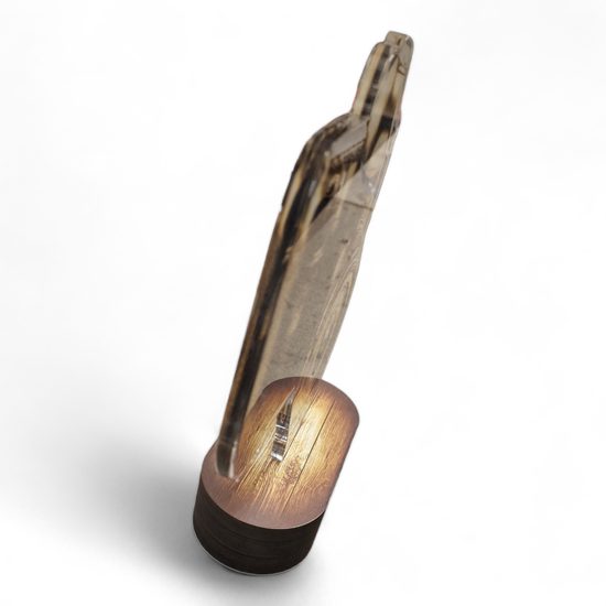 Altus Photography Camera Trophy | Trophy Monster