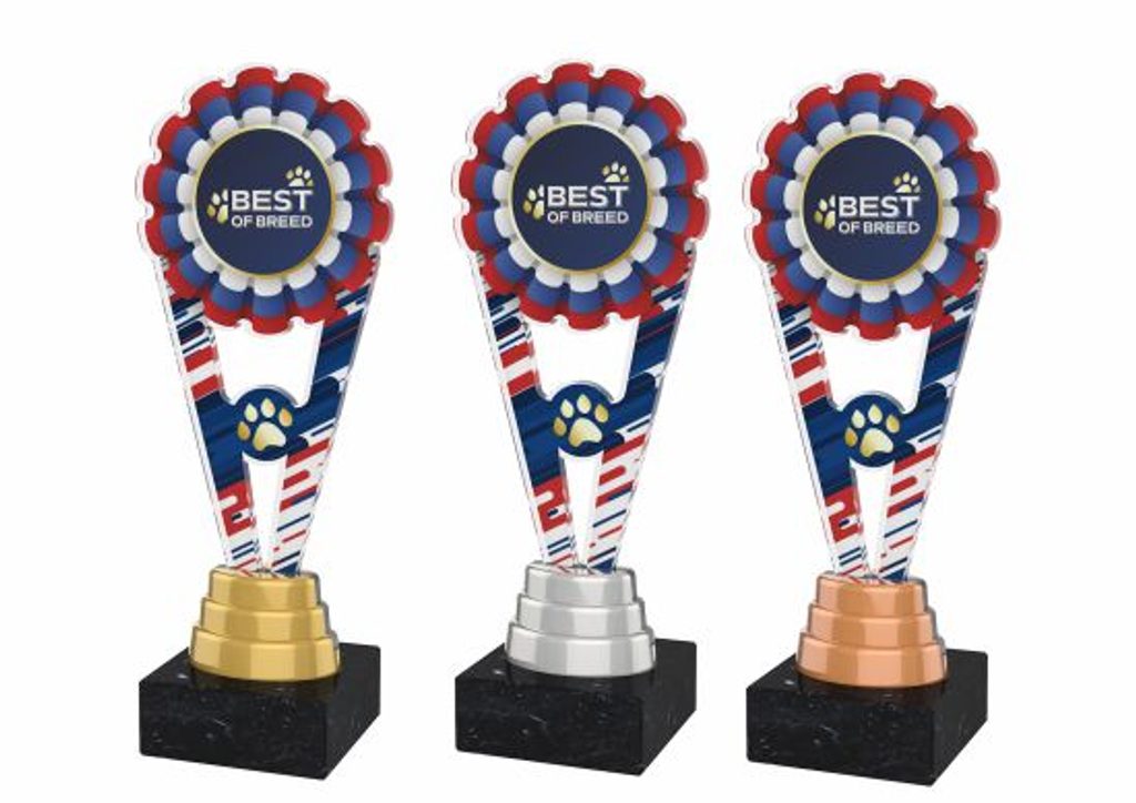 Premio Personalizado Volta de Acrílico | Trofeo Único | Trophy Monster ...