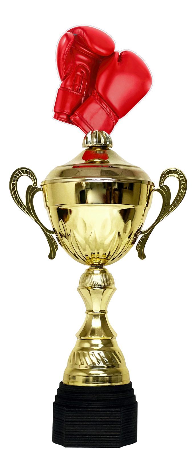Copa de Boxeo Oro Metálico | Trofeo Exclusivo | Trophy Monster ⭐ Mexico